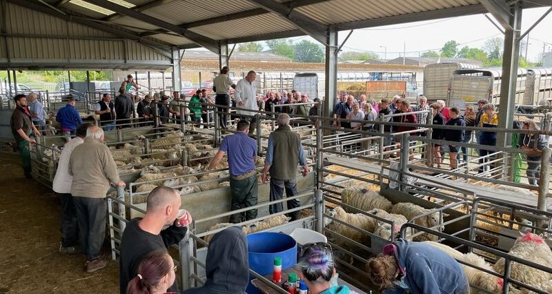 Norwich livestock market new site proposal - Broadland Radio - Norfolk ...
